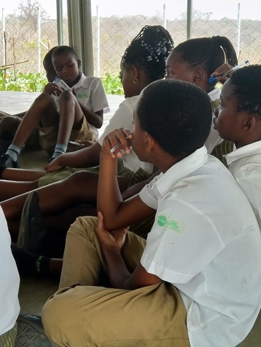 GSL 3-Day Catalyst | Enko Benga International School, Mozambique ...