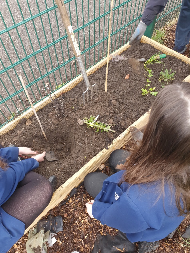 The Green Team - Global Social Leaders